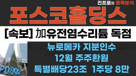 포스코홀딩스 세계최고의 기업이 될겁니다장기투자하세요 100배 수익납니다 포스코홀딩스 주가전망 양극재 에코프로 포스코퓨처엠 진프로 무료추천주 포스코엠텍
