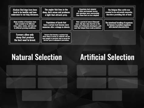 Natural Vs Artificial Selection Group Sort