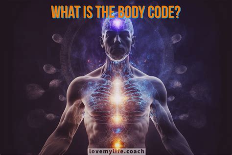 What Is The Body Code Love My Life
