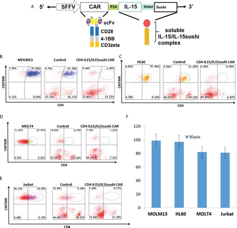 Figure 1 From Treatment Of Aggressive T Cell Lymphomaleukemia With