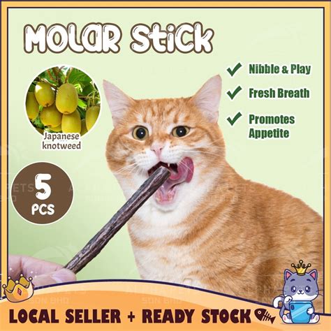 Catqueen Catnip Cat Treats Wood Matatabi Teeth Molar Cleaning Cat Chew Stick Catmint Cat Snack