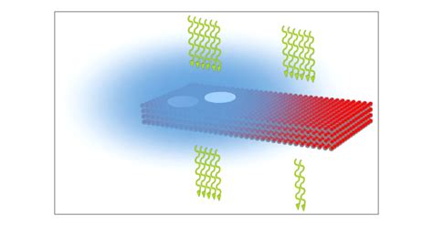 Exciton Localization And Radiative Lifetimes In Cdse Nanoplatelets The Journal Of Physical