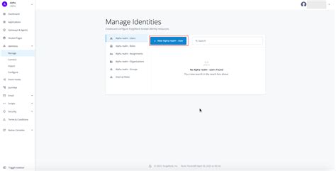 Getting Started With The Forgerock Identity Cloud Rest Api Part 1