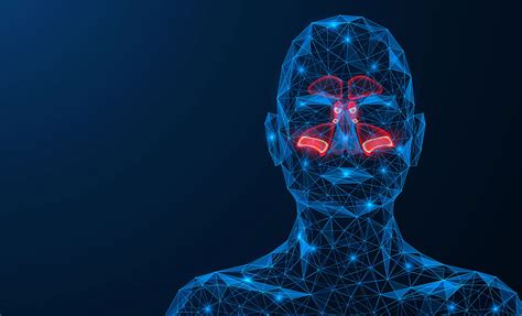 Allergic Rhinitis In Focus Medical Independent