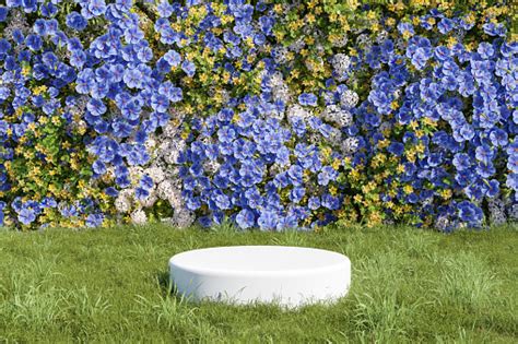 추상 3d 렌더링 봄 장면과 자연 연단 배경 잔디밭의 흰 돌 연단 제품 디스플레이 광고 화장품 등을 위한 다채로운 꽃 벽을