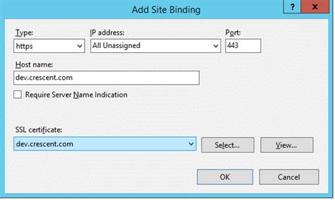 how to create self signed certificate for iis using