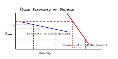 Concept Of Price Elasticity Of Demand Assignment Point