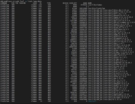 Lsof Sur Linux Utilisations Et Exemples