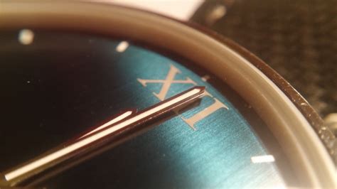 These Macro Photos Were Taken With A Smartphone And Compact Cam Lens PetaPixel