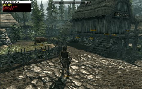 Skyrim Hack Tutorial Series ESP EntityList NoClip Cheats Page