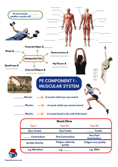 Resources The Pe Classroom