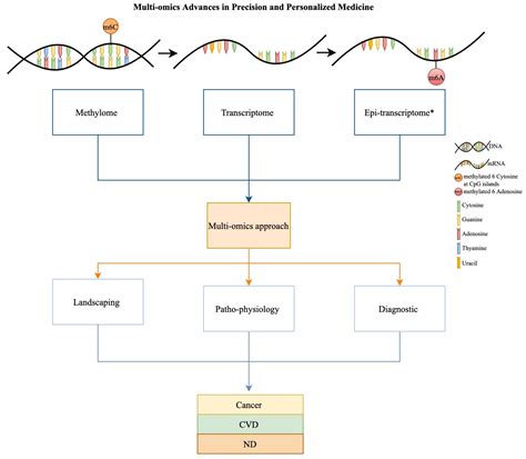 The Power Of Spatial Omics For Unraveling Tissue Complexity Seekers Thoughts