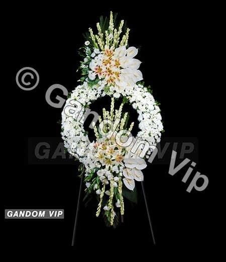 نکاتی جالب در مورد گل مریم ویژگی های گل مریم خرید گل گندم Vip