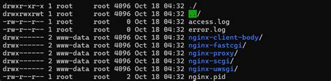 Django Nginx Fails To Start For Readonlyrootfilesystem Stack Overflow