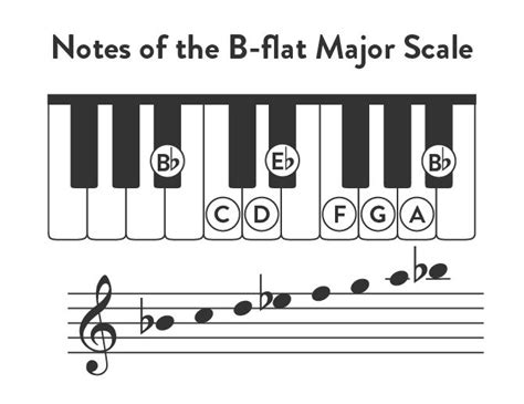 B Flat Major Piano Scale Notes Chords Finger Positions
