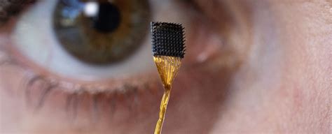 This Incredible Brain Implant Can Decode Inner Thoughts Into Speech Sciencealert