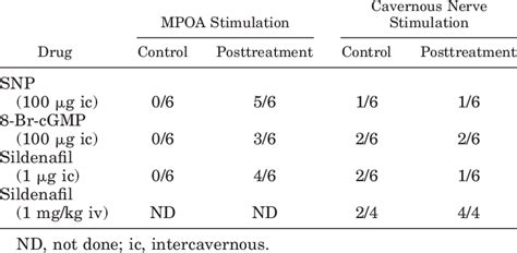 Correlation Of The Frequency Of Visible Erections With The Magnitude Of