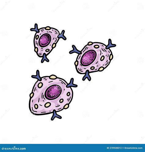 Mast Cell Isolated On White Background Hand Drawn Scientific