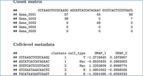 Cell Level Metadata Are Indispensable For Documenting Single Cell Rna