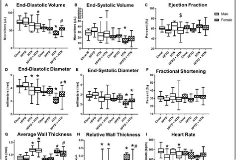 Cardiac Function In Male And Female Control Obese Normotensive And Download Scientific
