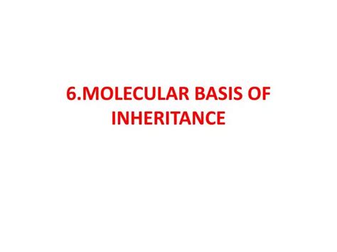 PPT 6 MOLECULAR BASIS OF INHERITANCE PowerPoint Presentation Free Download ID 1936678