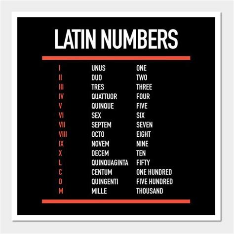Latin Numbers Numerals In Latin Roman Numbers By Hidden Verb Artofit