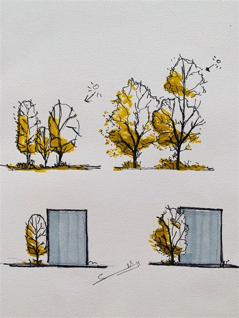 How To Draw Trees Architectural Trees Narration Illustration Architecture YouTube Tree