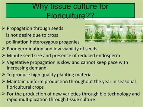 Applications Of Tissue Culture In Floriculture Pptx