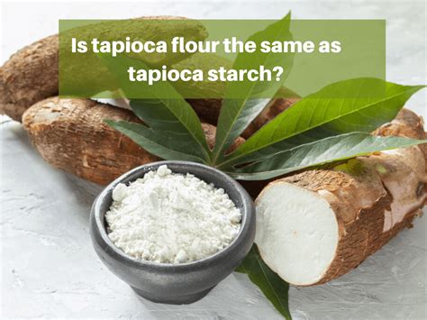 Is Tapioca Flour The Same As Tapioca Starch