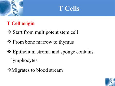 Cell Mediated Immunity Pptx