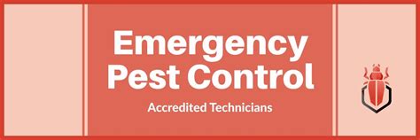 Pest Control Brisbane Bright Pest Control