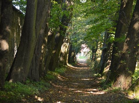 ArborÉtum Zirc A Bakony Fővárosa