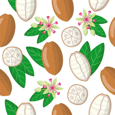 Padrão Sem Emenda De Desenho Vetorial Com Flores E Folhas De Frutas