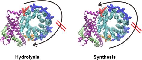 Binding Properties Of The Anti Tb Drugs Bedaquiline And Tbaj 876 To A