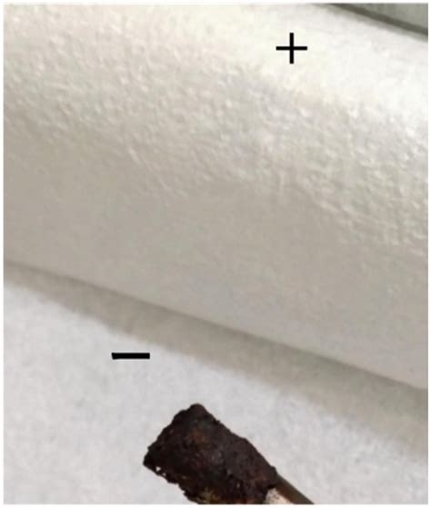 The Electrode After The Electrolytic Reaction Download Scientific Diagram