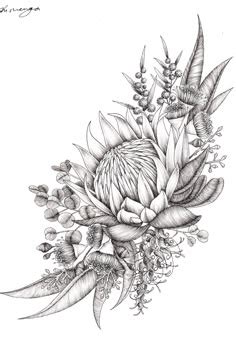Australian Native Flowers Discover 75 Australian Native Flower Tattoos