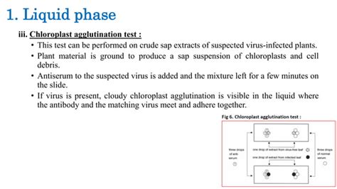 Serological Detection Techniques Of Plant Viruses Pdf