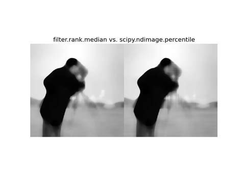 Rank Filters — Skimage V0 10dev Docs