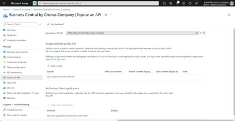 Configuring Business Central For Azure Active Directory Authentication And Oauth 1 Kauffmann