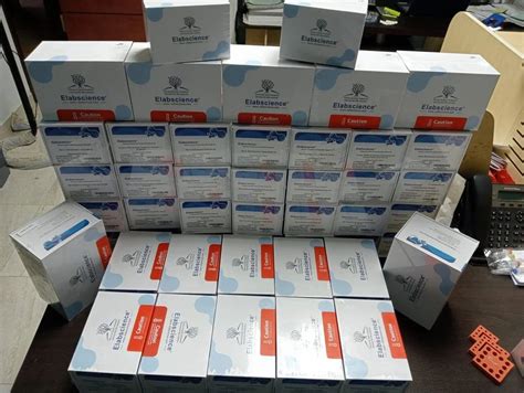 Elabscience Elisa Kits At ₹ 25000 Kit Elisa Based Diagnostic Kit In New Delhi Id 2854175878497