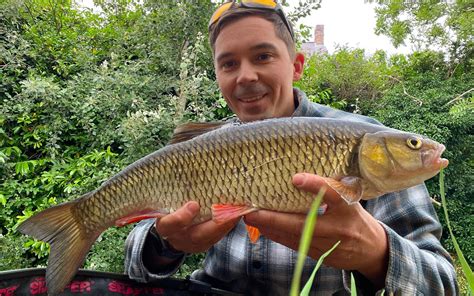 Top 5 Lures For Catching Chub Off The Surface Predator Fishing World