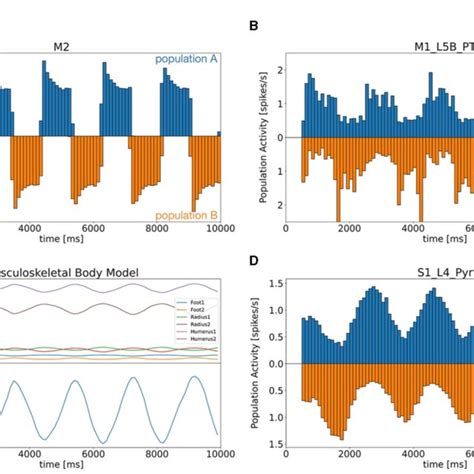 Figure Spatial Arrangement Of Neurons In The Cb Model The Figure Was