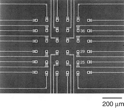 planar microelectrode array detailing individual platinized 10 mm
