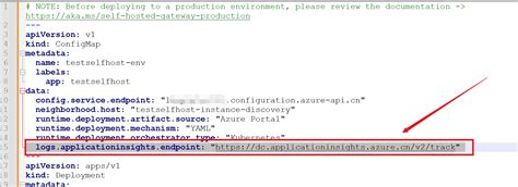 APIMAzure API Management Self Host Gateway是否可以把请求的日志发送到Application Insights呢让它和使用Azure上托管的