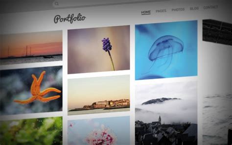 Last Wix Webinar Is May 12 Uncsa