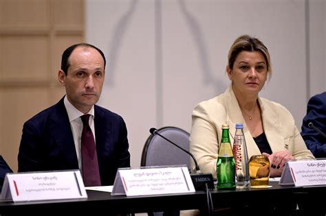 ეკონომიკისა პირველი ვიცე პრემიერი ეკონომიკისა და მდგრადი განვითარების მინისტრი საქართველოს