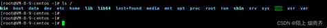 Linux系统使用超详细 Csdn博客