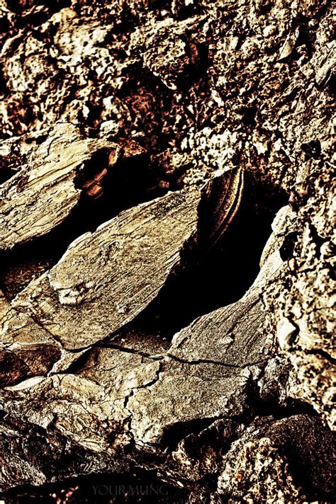 Linked To Earth On Behance