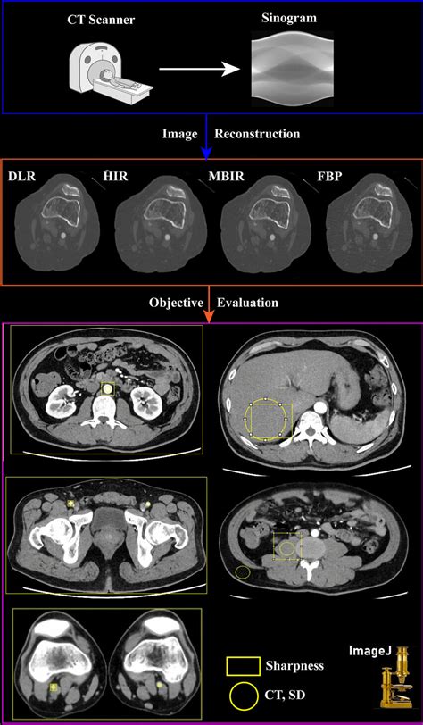 Flow Chart Of Quantitative Analysis Download Scientific Diagram