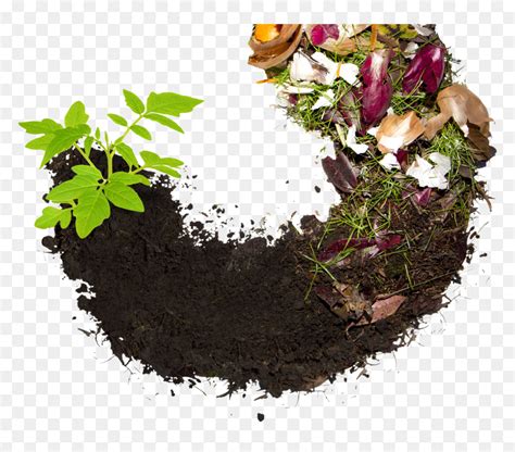 Composting Covering The Basics Transparent Background Waste Composting HD Png Download Vhv